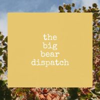 the big bear dispatch: – california, one dispatch at a time